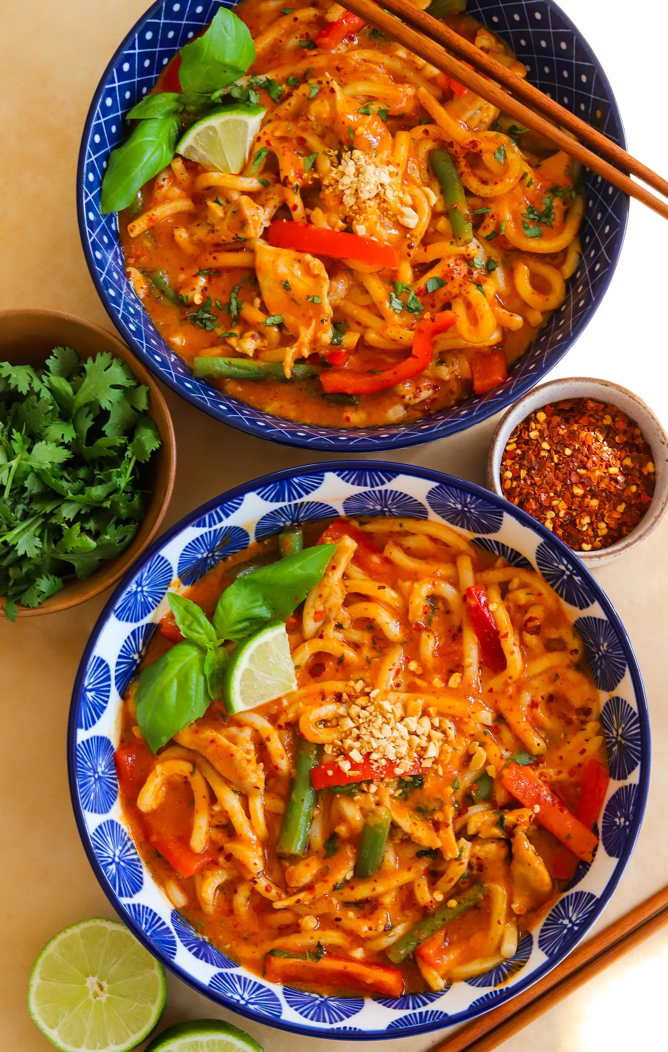 Red Curry Udon Noodle Soup Moribyan